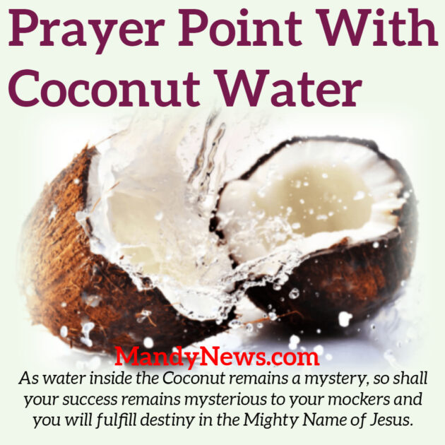 A Complete Guide To Prayer Point With Coconut Water For 2022 | MandyNews
