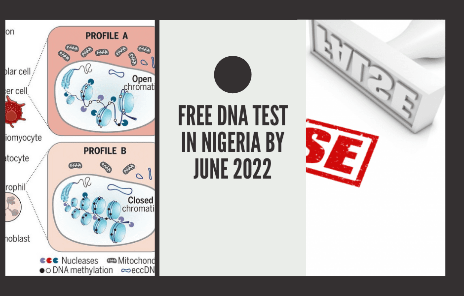 Fact Check: Free DNA Test In Nigeria By June 2022